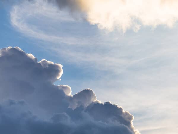 11/24/25: Cheatham County Forecast | 11/24/25: Overcast and…